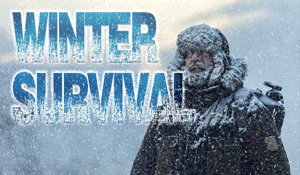 Our Winter Survival Guide